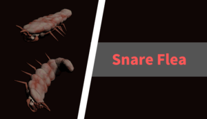 【Lethal Company】敵対モンスター・エネミーの特徴と対処法まとめ | ゲームの箱庭